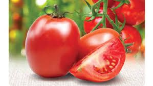 Cal-J Tomato Seeds / Determinate Variety / Blocky Red Fruits