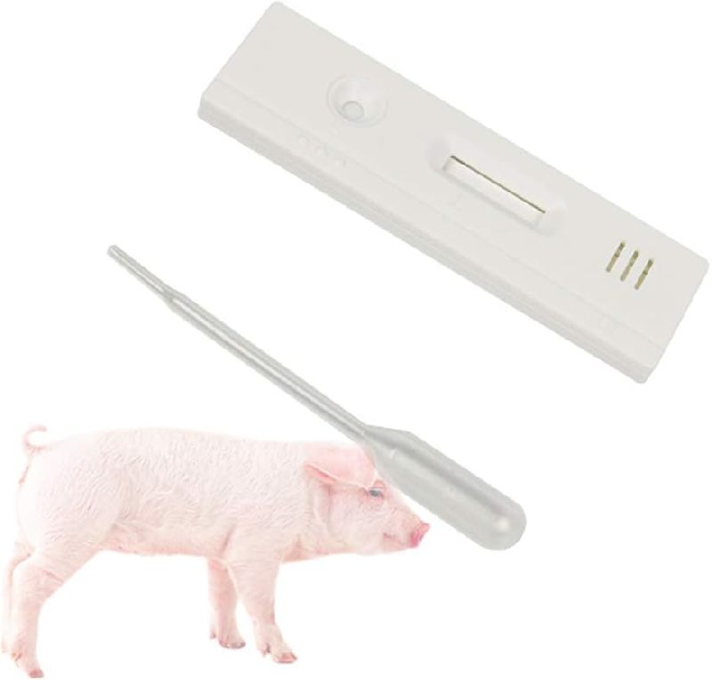 Pig Pregnancy Test Strip / Rapid Test Kit / Pig Urine Pregnancy Tests